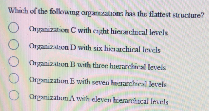 Solved: Which of the following organizations has the flattest structure ...