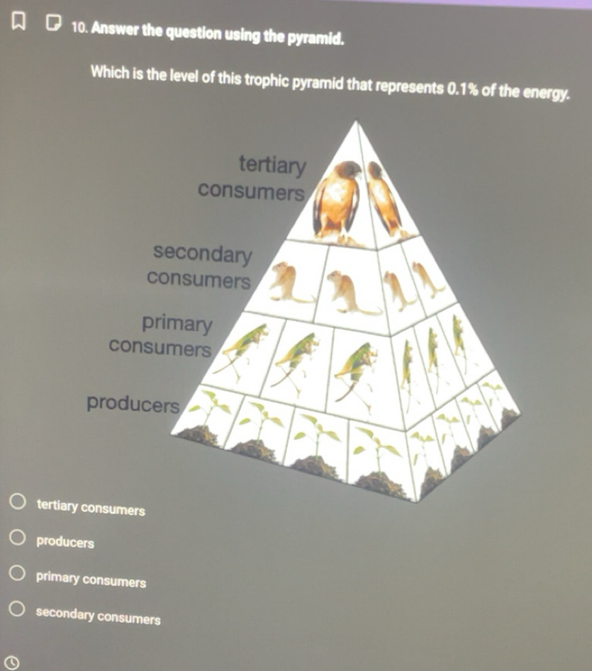 Solved: Answer the question using the pyramid. Which is the level of ...