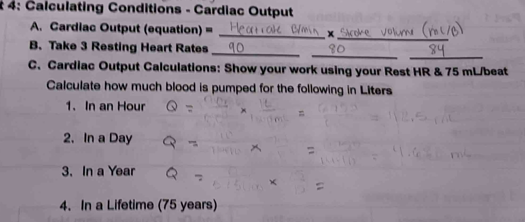 Solved: 4: Calculating Conditions - Cardiac Output _ A. Cardiac Output ...