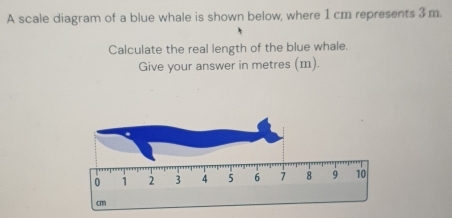 Solved: A scale diagram of a blue whale is shown below, where 1 cm ...