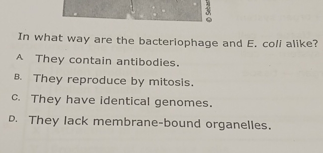 Solved: In what way are the bacteriophage and E. coli alike? A They ...