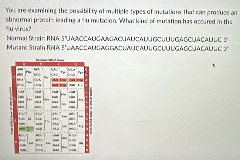Solved: You are examining the possibility of multiple types of ...