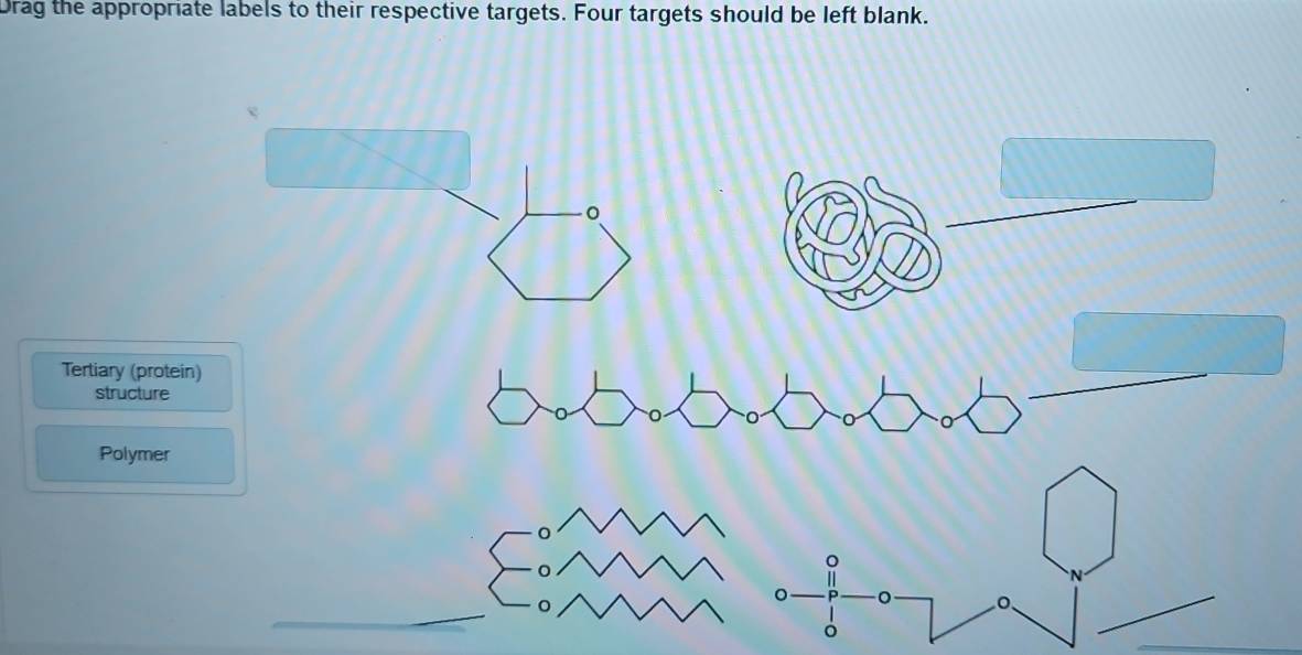 Solved: Drag the appropriate labels to their respective targets. Four ...