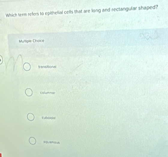Solved: Which term refers to epithelial cells that are long and rectangular shaped? Multiple ...