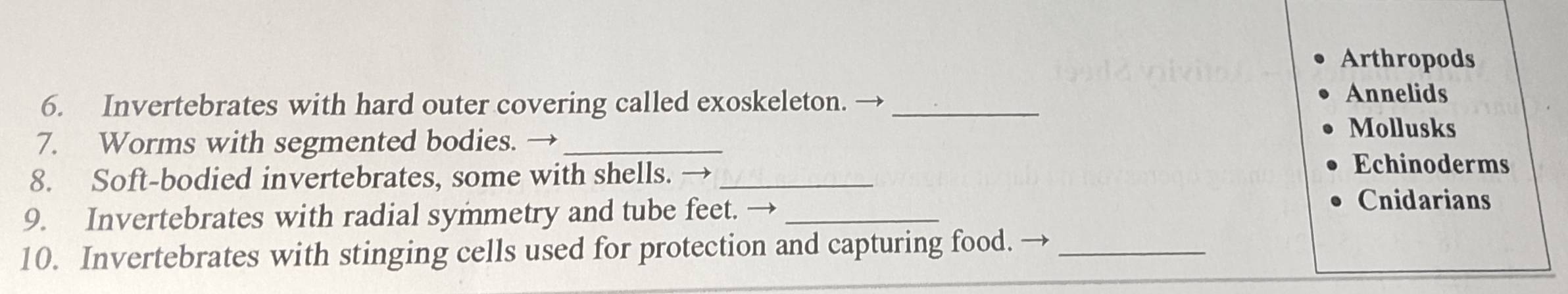Solved: Arthropods 6. Invertebrates with hard outer covering called ...