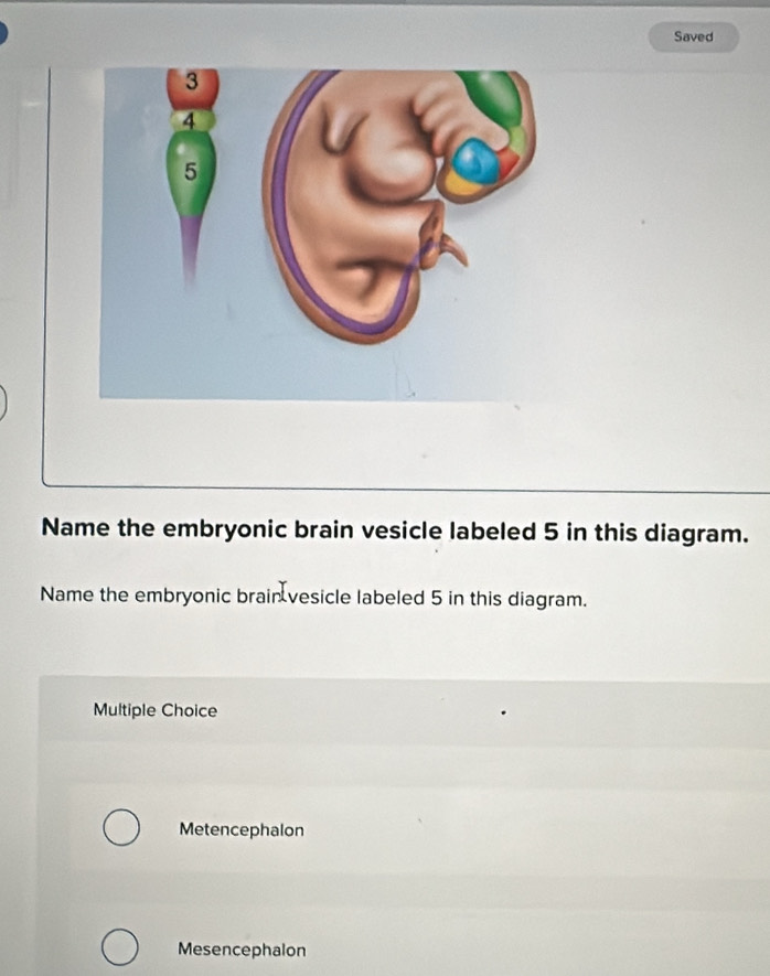 Solved: Saved Name the embryonic brain vesicle labeled 5 in this ...