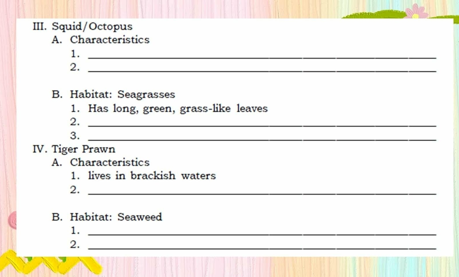 Solved: Squid/Octopus A. Characteristics 1._ 2._ B. Habitat: Seagrasses ...
