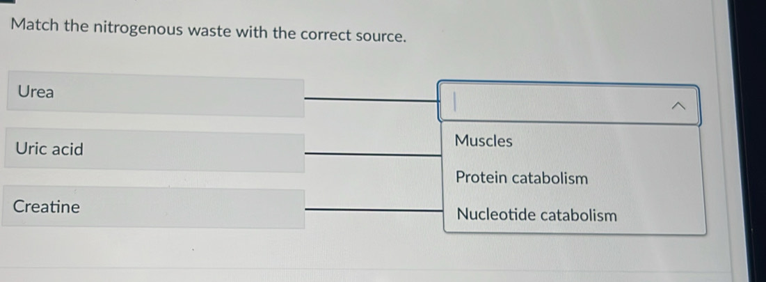 Solved: Match the nitrogenous waste with the correct source. Urea ...