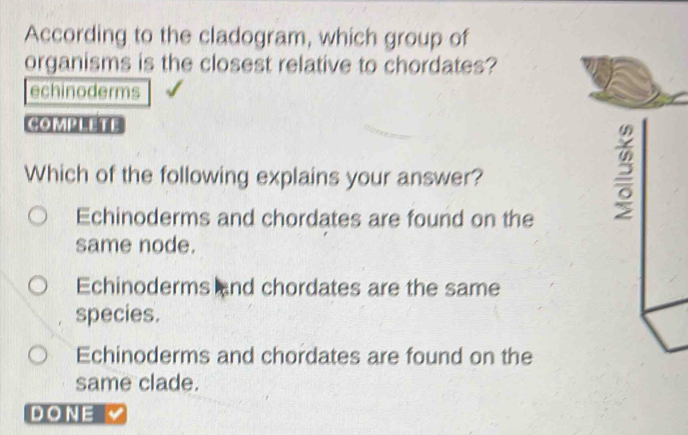 Solved: According to the cladogram, which group of organisms is the ...