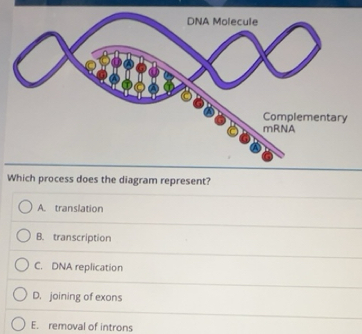 Gelöst:Which process does the diagram represent? A. translation B ...