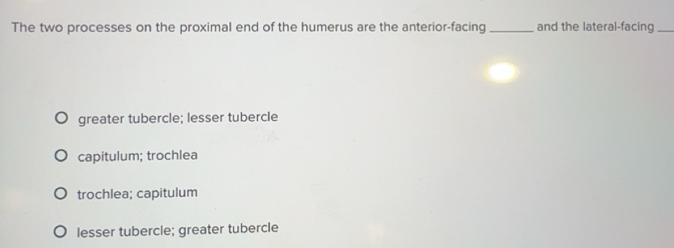 Solved: The two processes on the proximal end of the humerus are the anterior-facing _and the ...