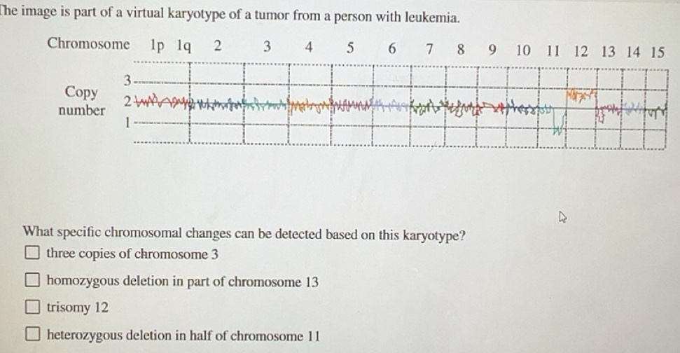 Solved: The image is part of a virtual karyotype of a tumor from a ...