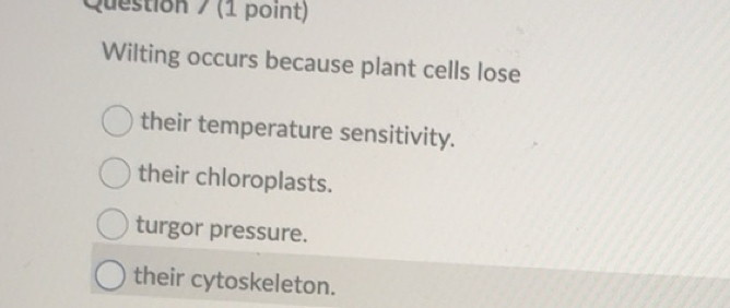 Solved: Question / (1 point) Wilting occurs because plant cells lose ...