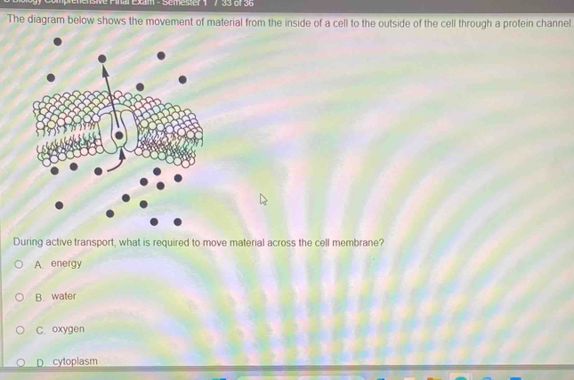 Solved: hai Exam - Semester 1 7 33 of 36 The diagram below shows the ...