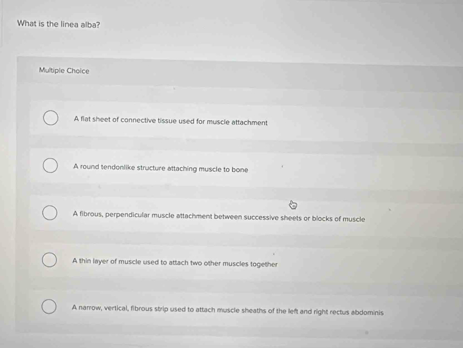 Solved: What is the linea alba? Multiple Choice A flat sheet of ...