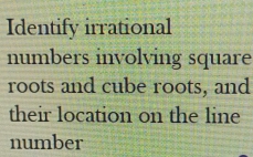 Solved: Identify irrational numbers involving square roots and cube ...