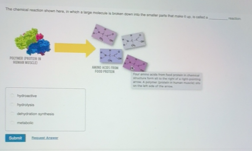 Solved: The chemical reaction shown here, in which a large molecule is ...
