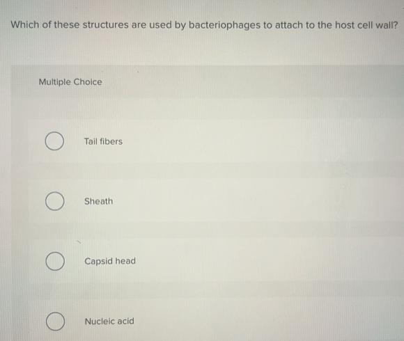Solved: Which of these structures are used by bacteriophages to attach ...