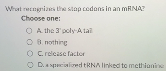 Solved: What recognizes the stop codons in an mRNA? Choose one: A. the ...