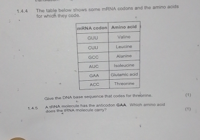 Solved: The table below shows some mRNA codons and the amino acids for ...