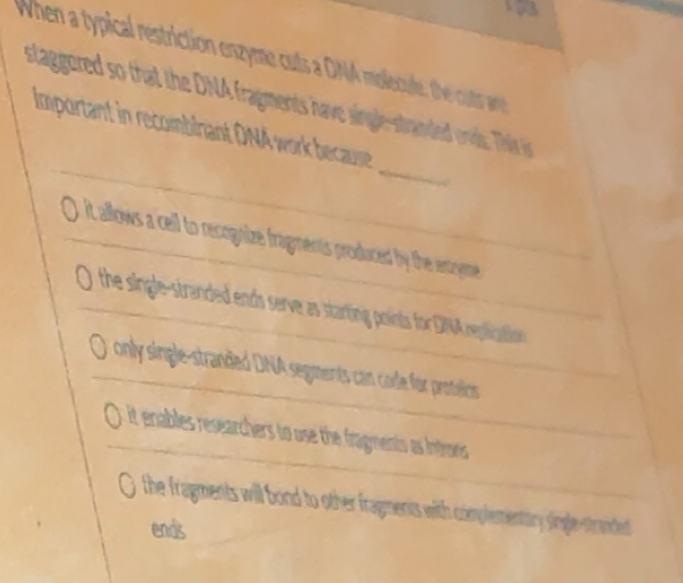 Solved: When a typical restriction enzyme cuts a DNA moslecule, the ...
