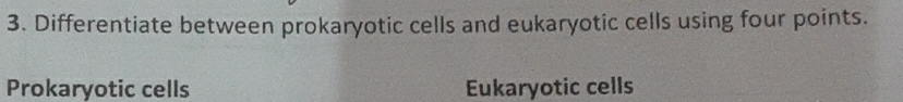 Solved: Differentiate between prokaryotic cells and eukaryotic cells ...