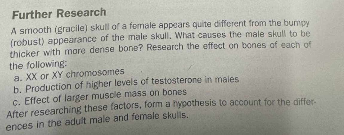 Solved: Further Research A smooth (gracile) skull of a female appears ...