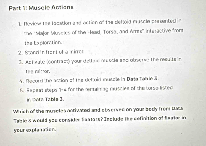Solved: Muscle Actions 1. Review the location and action of the deltoid ...