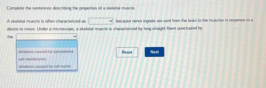 Solved: Complete the sentences describing the properties of a skeletal ...