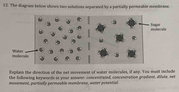 Solved: The diagram below shows two solutions separated by a partially ...