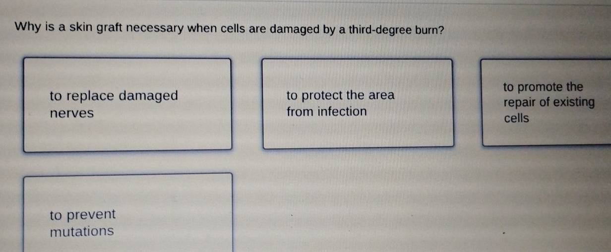 Solved: Why is a skin graft necessary when cells are damaged by a third ...