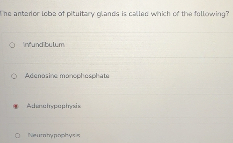 Solved: The anterior lobe of pituitary glands is called which of the ...