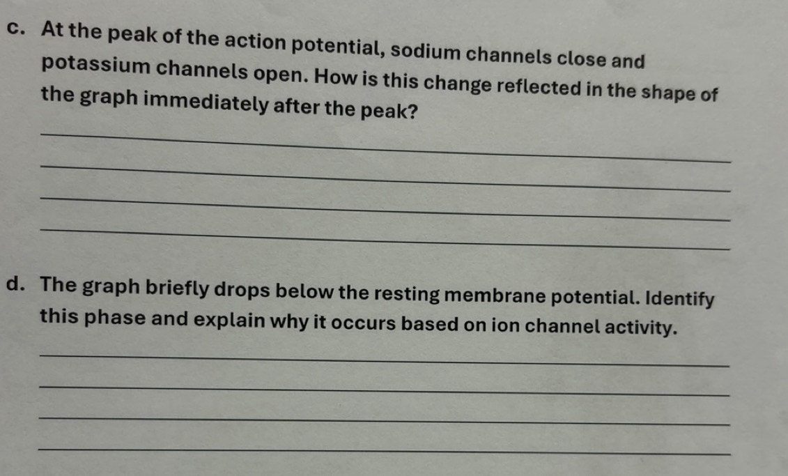 Solved: At the peak of the action potential, sodium channels close and ...
