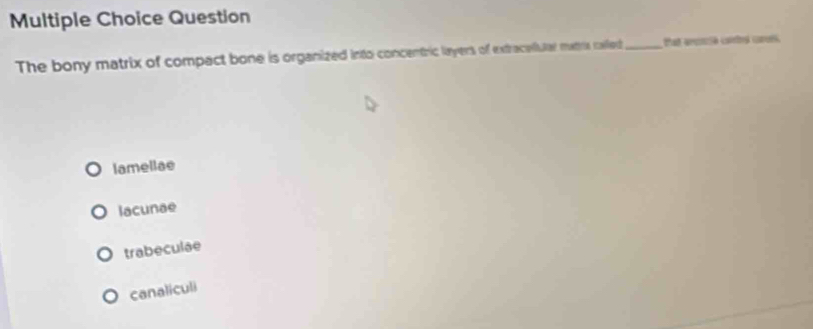 Solved: Question The bony matrix of compact bone is organized into ...