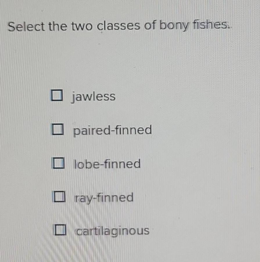 Solved: Select the two classes of bony fishes. jawless paired-finned ...