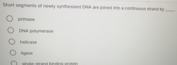 Solved: Short segments of newly synthesized DNA are joined into a ...