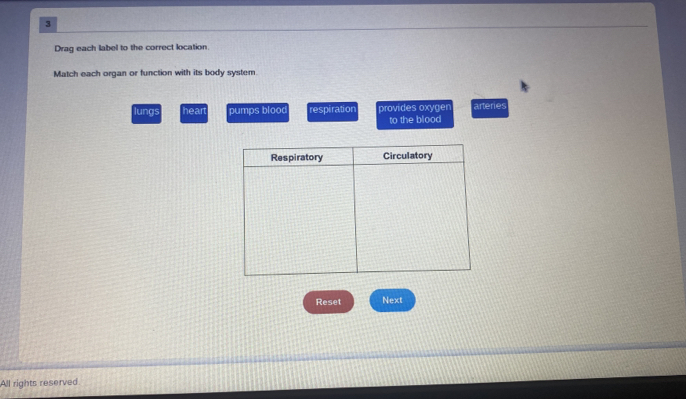 Solved: Drag each label to the correct location Match each organ or function with its body ...