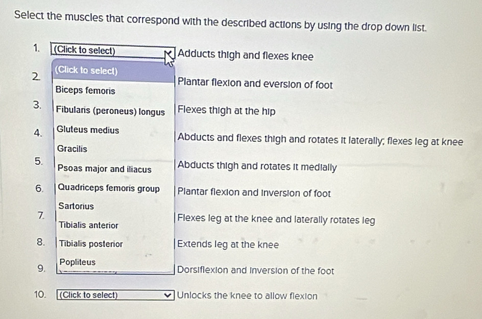 Solved: Select the muscles that correspond with the described actions ...