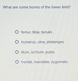Solved: What are some bones of the lower limb? femur, tibia, tarsals ...