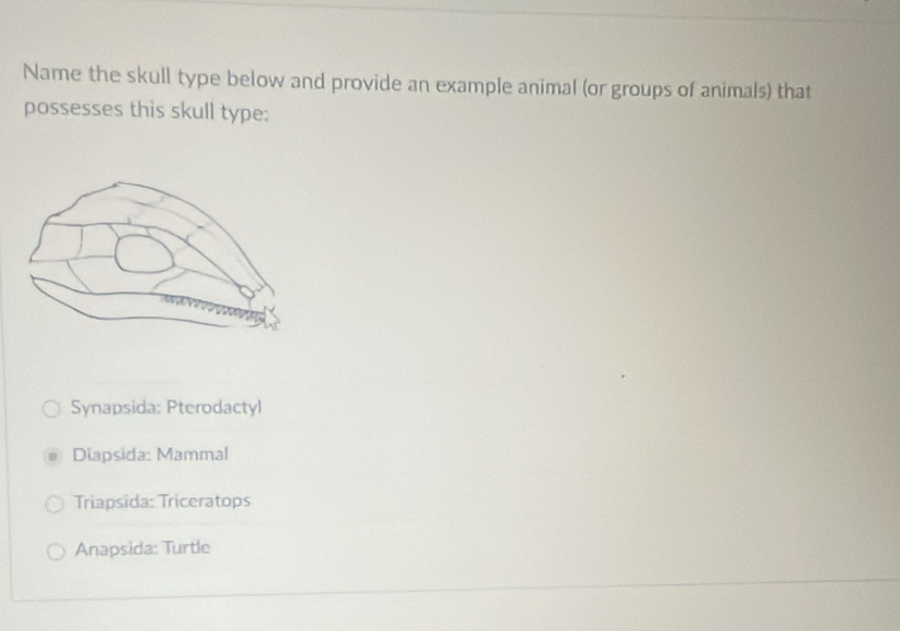 Solved: Name the skull type below and provide an example animal (or ...