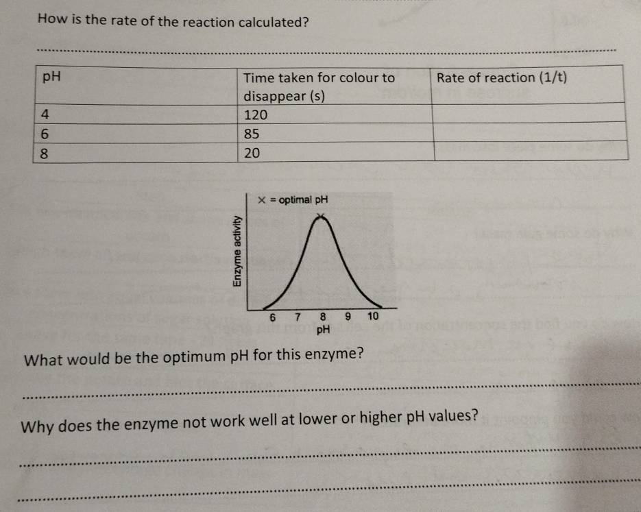 Solved: How is the rate of the reaction calculated? What would be the ...