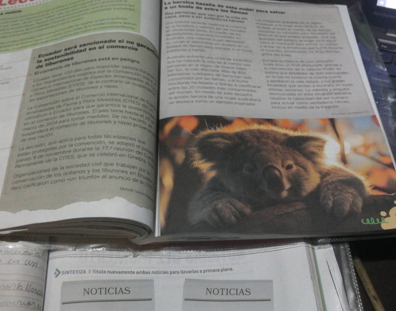 Resuelto:La heroica hazaña de esta mujer para salvar * notícia S tas ...