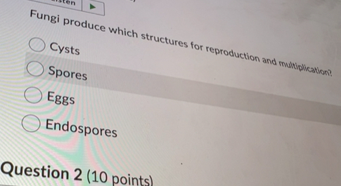 Solved: sten Fungi produce which structures for reproduction and ...
