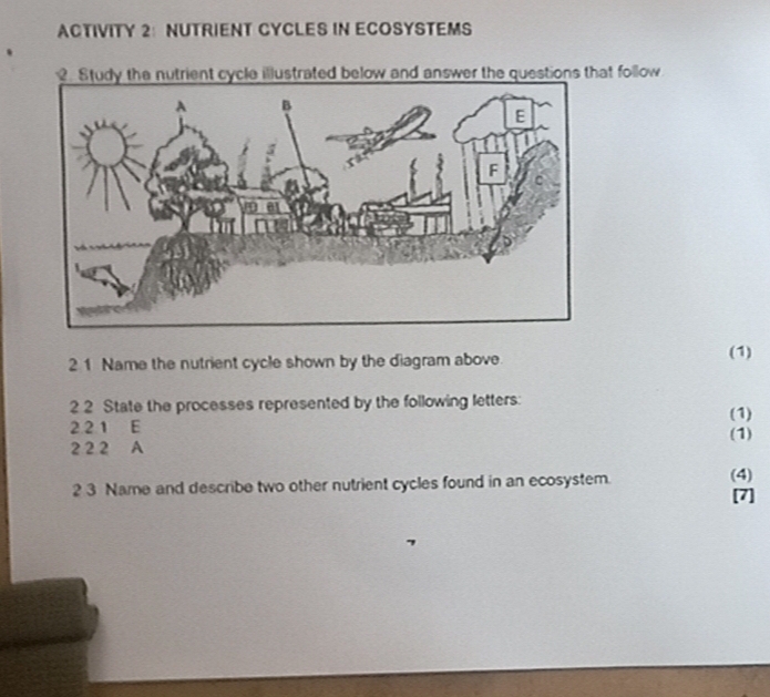 Gelöst:ACTIVITY 2： NUTRIENT CYCLES IN ECOSYSTEMS 2. Study the nutrient ...