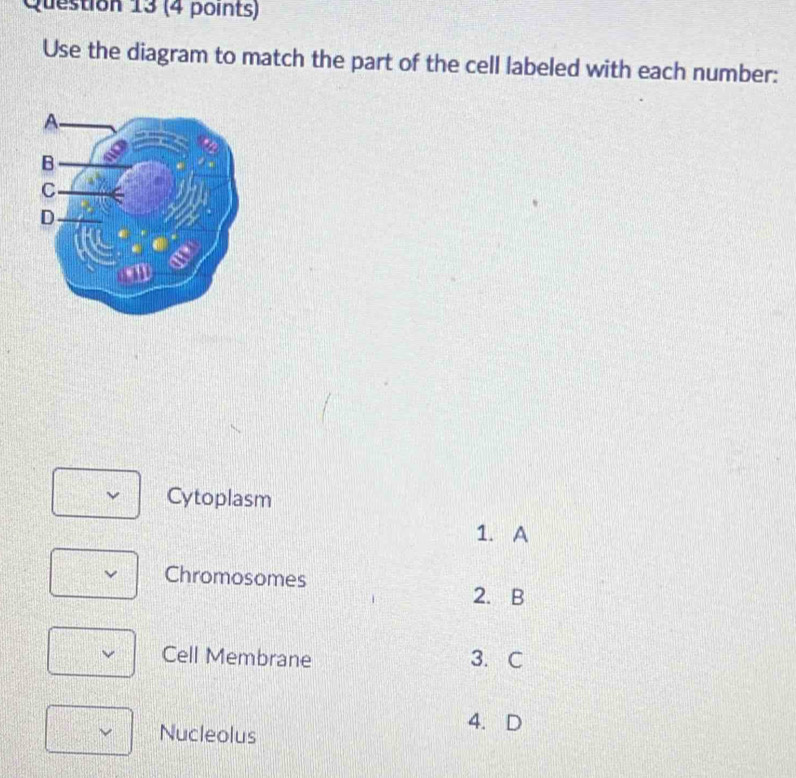 Solved: Use the diagram to match the part of the cell labeled with each number: Cytoplasm 1. A ...