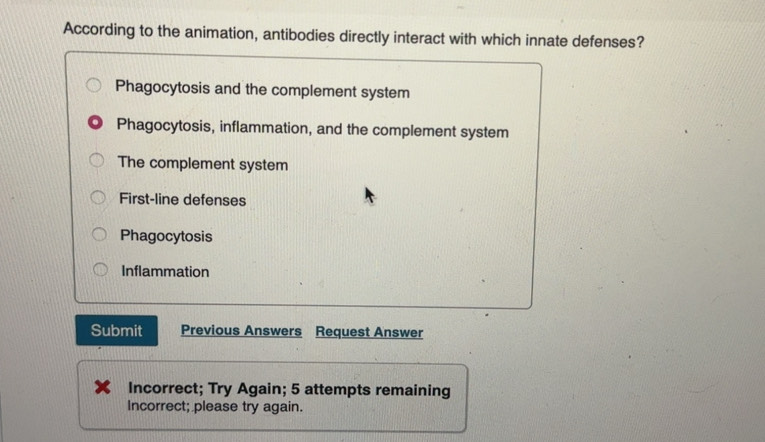 Solved: According to the animation, antibodies directly interact with ...