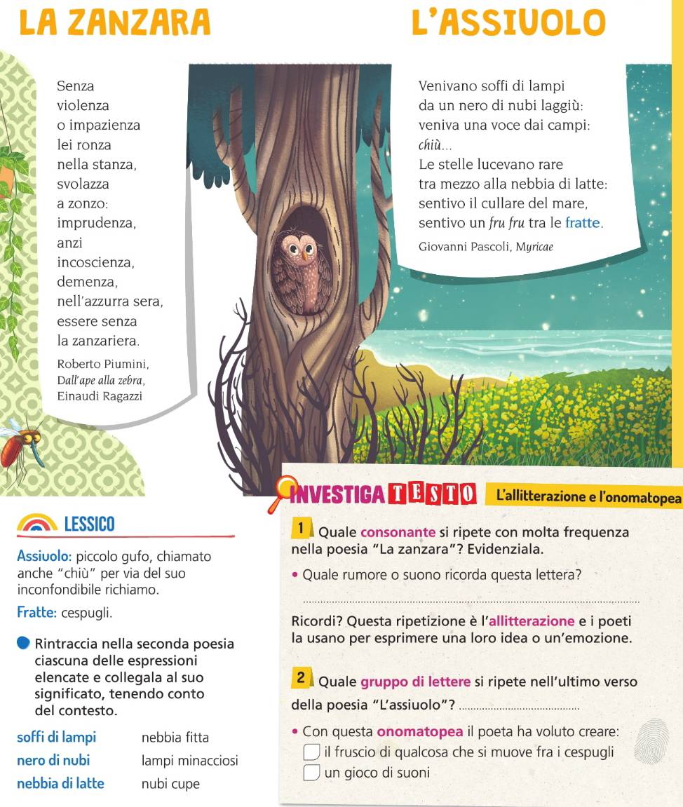 Risolto:LA ZANZARA L'ASSIUOLO Senza Venivano soffi di lampi violenza da ...