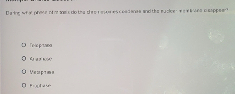 Solved: During what phase of mitosis do the chromosomes condense and ...