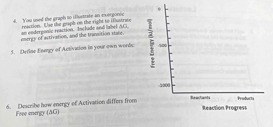 Solved: You used the graph to illustrate an exergonic reaction. Use the ...