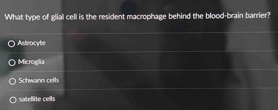 Solved: What type of glial cell is the resident macrophage behind the ...